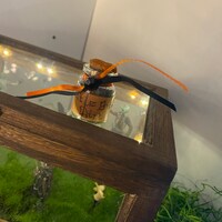 APPLE MAGIC WAND, Lughnasadah Travel to Faerie Harmony Handmade, Pagan ...