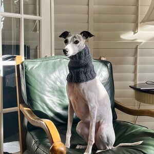 Chunky Knit Snoods Greyhound Lurcher Whippet - Etsy