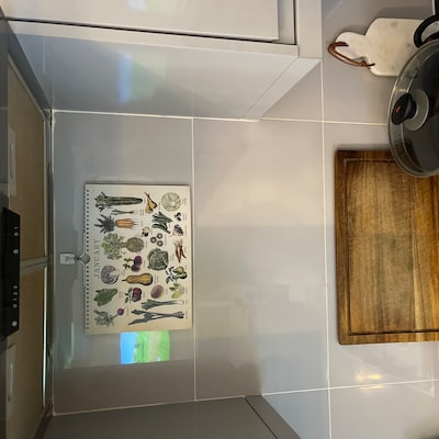 Bee Print, Bee Poster, Bee Chart, Anatomy, Nature, for Kitchen, Unique ...