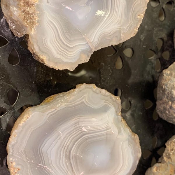 Los Choyas Coconut Geodes – Blue/gray/white Agate – Solid – Chihuahua ...