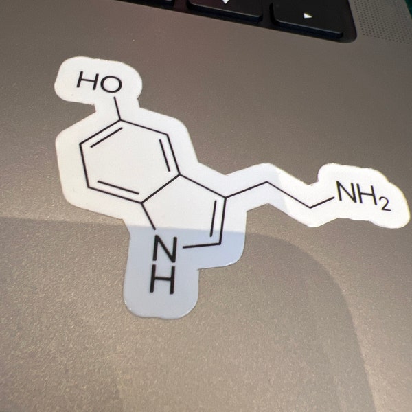 Microscope Keychain, Molecular Biology Keychain, Science Keychain ...