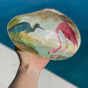 Real Jungle Mud Starfish Orange Brown Amber Color 1 to 3 Pcs 2 | Etsy