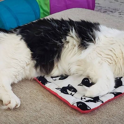 Catnip Cat Mat, Cat Mat for Pet Carrier, Cat Mat, Organic Catnip Play ...