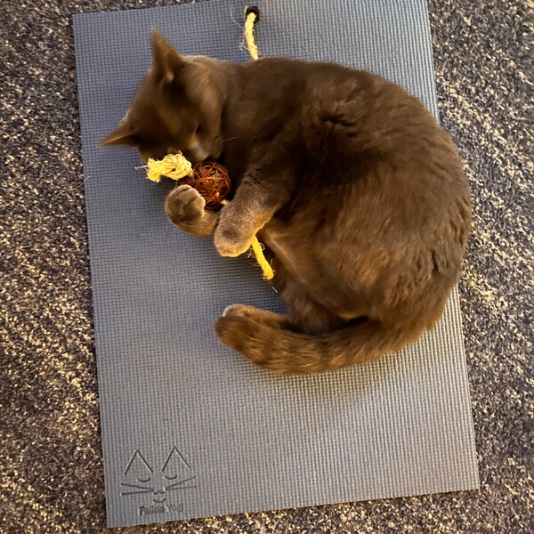 Great Gift for Cat Lover, Pink Yoga Cat Mat Toy, Cat Toys, Yoga Mat ...