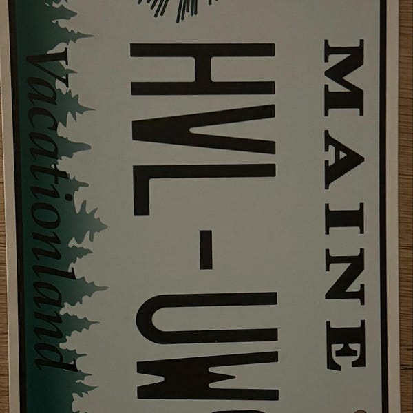 Custom Wedding License Plate or Car Tag for Bride and Groom! Our Custom ...