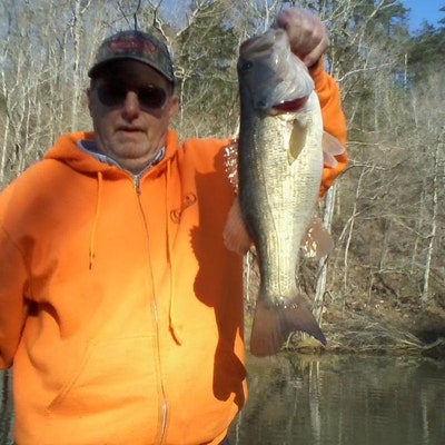 Dws Rod Divider Electrode Organizer Insert 14'' Tubes Welding Blue ...