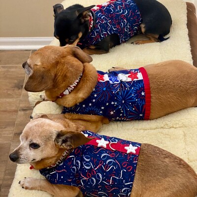 University of Michigan Dog Coat - Etsy