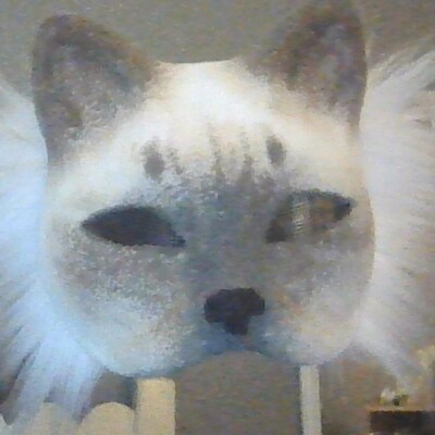 Therian Cat Mask Mushrooms - Etsy Canada