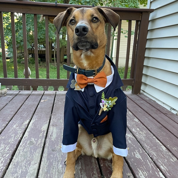 Dog Tuxedo, Dog Suit, Dog Wedding Attire, Navy Blue, Navy Blue Dog ...