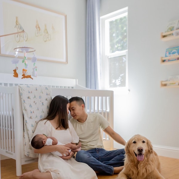 Peter Rabbit, Benjamin Bunny and Friends on Bicycles, Vintage Bunny ...