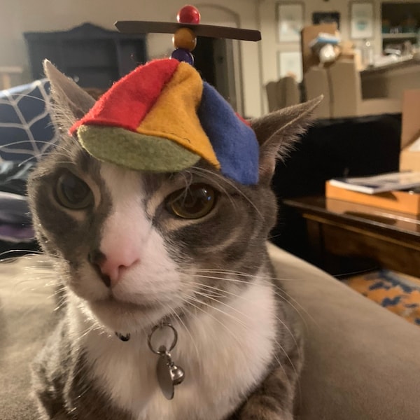 Original Design-cat Hat-propeller Hat-pet Costume -SF Fandom - Comics ...