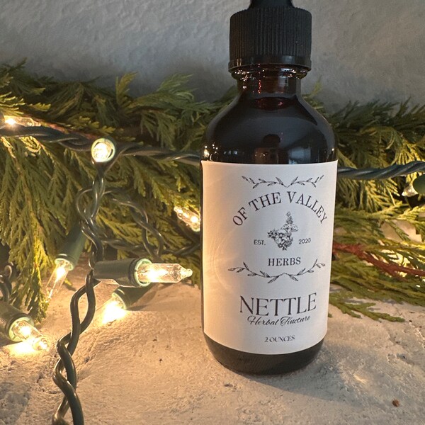 Dyeball Mushroom (pisolithus Arhizus) for Natural Dyeing // Dyes ...