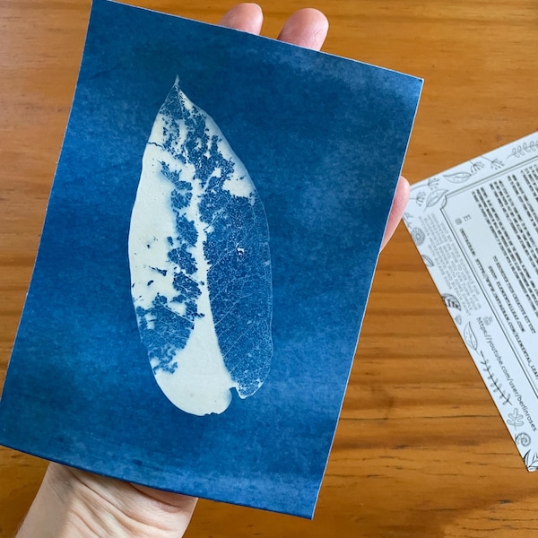 Cyanotype Sun Printing Kit: Stencils & Magic Blue Paper - Etsy
