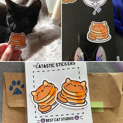 Pancake Cat Sticker Vinyl Sticker Decal for Laptops, Water Bottles ...