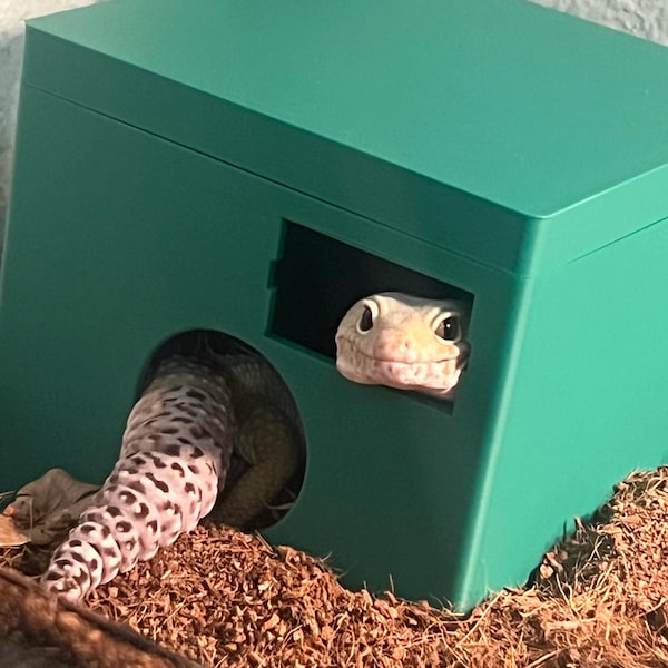 3D Reptile Hide - Corner Bi Level Suite - Etsy