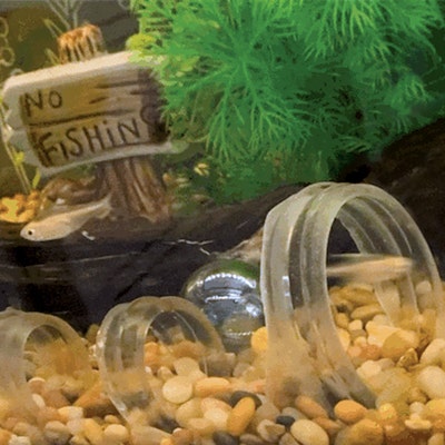 Sea Softened Vitrite light Bulb Bottoms - Etsy