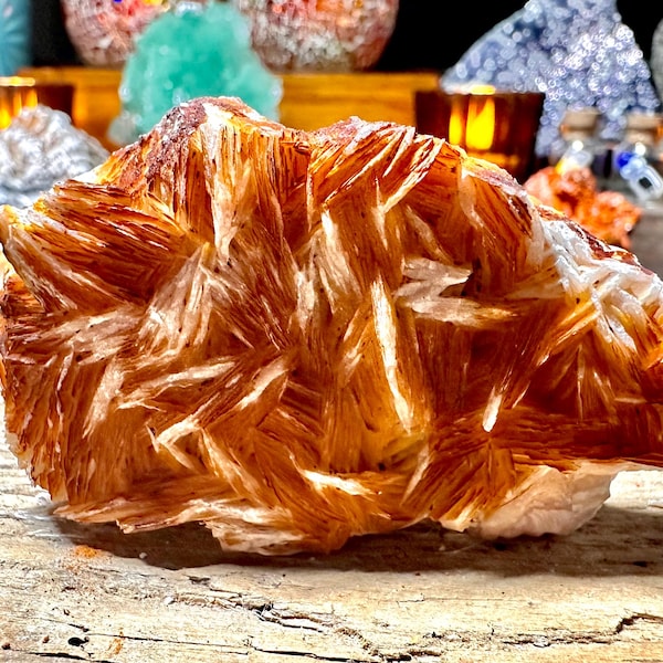 1.2lb Zebra Calcite Skull Crystal | Natural Stone Carved Phantom ...