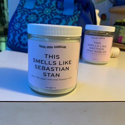 This Smells Like Sebastian Stan Candle Pop Culture Candles Celebrity ...