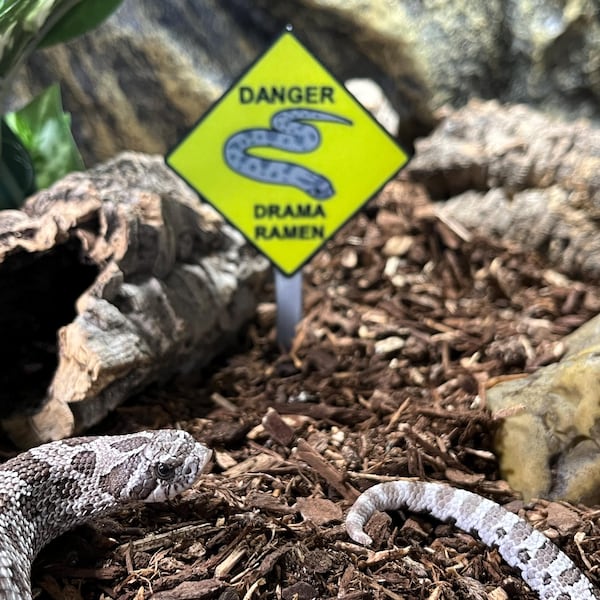 Cute Snake Warning Sign With Post, Vivarium Decoration for Hognose ...