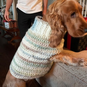Ledger Sweater CROCHET Pattern Beginner Friendly Sweater for Dogs in 5 ...