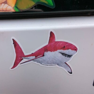 A5 Spiral Notebook, Great White Shark Journal, Lined or Graph Pages ...