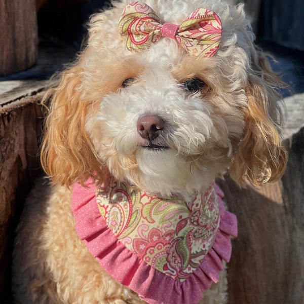 Multi-size PDF Sewing Pattern Dog Ruffle Bandana and Bow, Steps ...