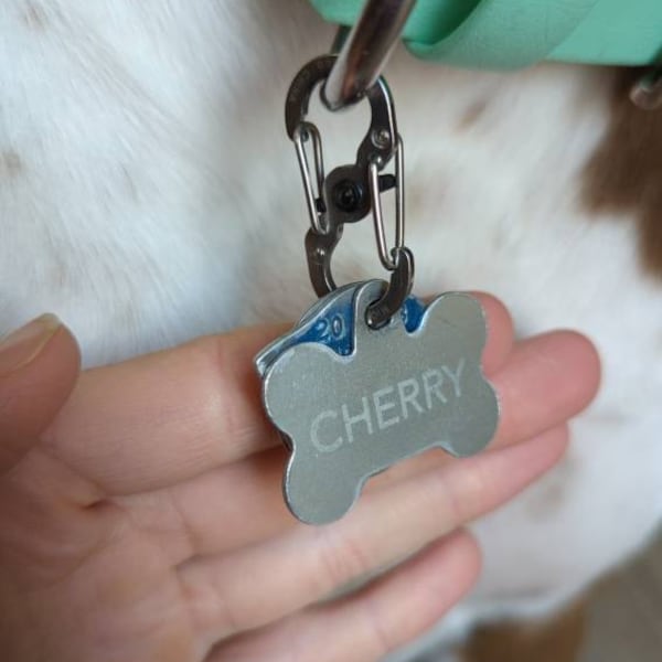 Dog Tag Clip, S-BINER® TAGLOCK™, Nite Ize Tag-lock, Dog Tag Clip, Tag ...