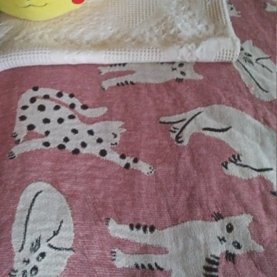 Pink Cat Blanket: Woven Cotton Throw, Cute Kawaii Gift for Animal or ...