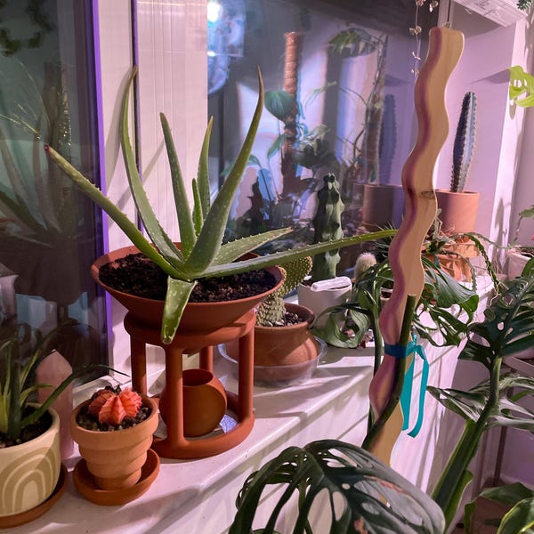 The FUNNEL Planter With Stand and Water Catch for Indoor House Plants ...