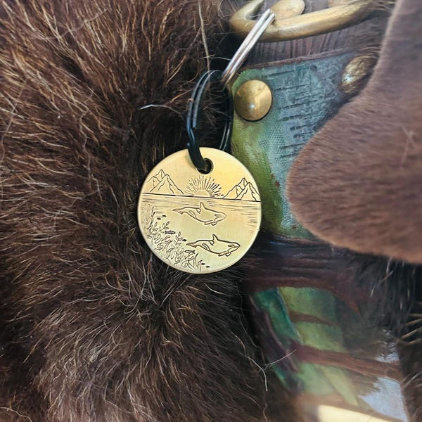 Pet ID Tag - Space Raccoon - Dog Tag for Dogs - Pet Name Tag - Hand ...