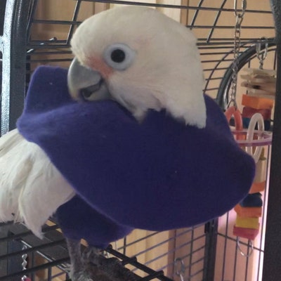 Parrot Extra Coverage Clothing, Specifically for Birds That Pluck and ...