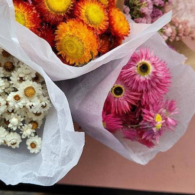 Sale Garden Party Favors for Kids, 6 Kids Garden Kits for a Garden ...