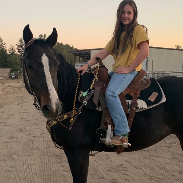 Custom Slot Ear Headstall With Buckstitching - Etsy