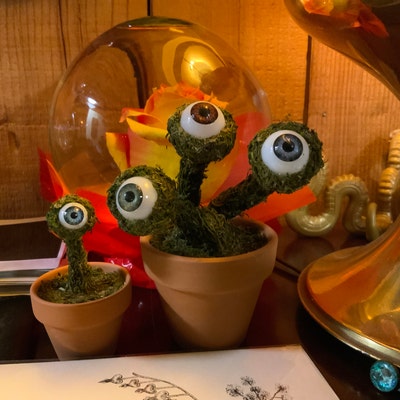 Eye Lichen Labyrinth Themed Gift - Etsy