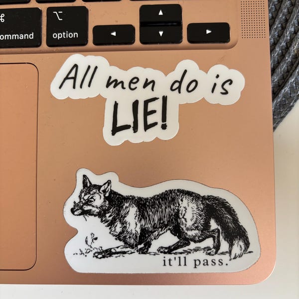 Skzoo Wolf Chan Free Hugs! Stray Kids Sticker Kpop Matte Vinyl and Laminated Vinyl Die Cut With ...