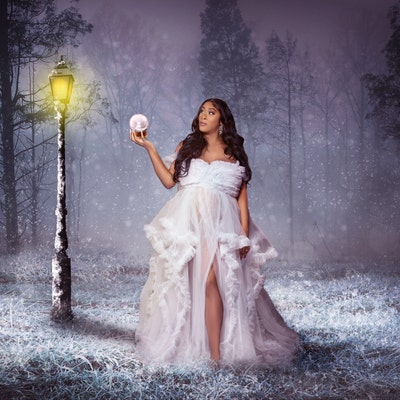 Winter Wonderland Backdrop, Portrait, Christmas Photography Backdrop ...