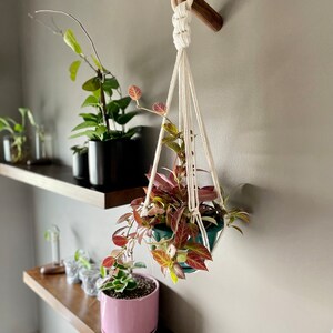 Macrame Aria Diffuser Holder - Etsy