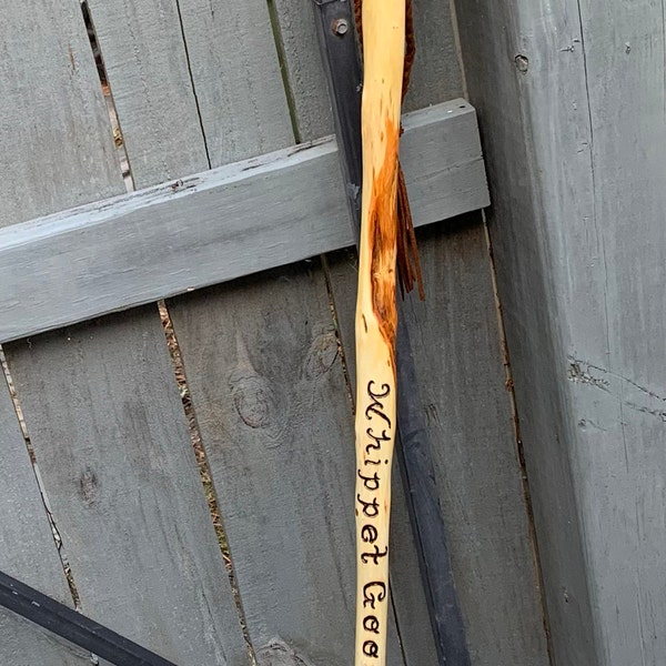 Walking Stick With Handle, Diamond Willow Wood, Rope Hand Grip N ...