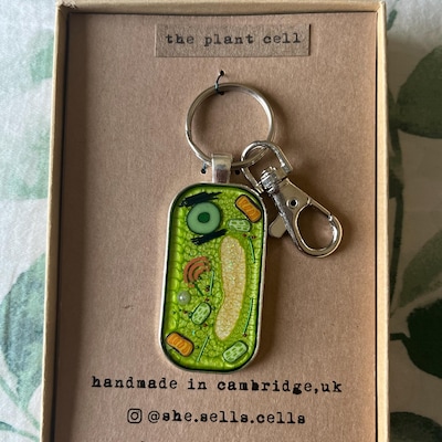 Animal Cell Keychain, Key Ring, Cell Biology, Biology Gift, Science Key ...