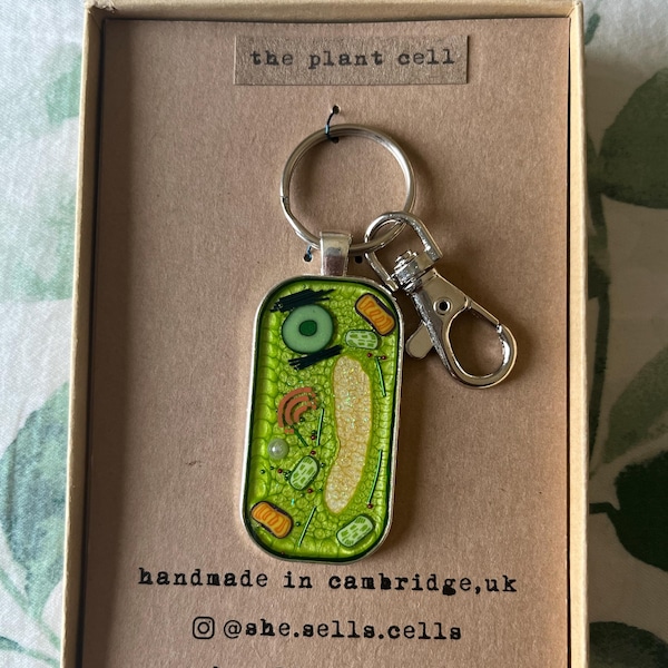 Plant Cell Key Chain - Key Ring - Cell Biology, Biology Gift, Key Chain ...