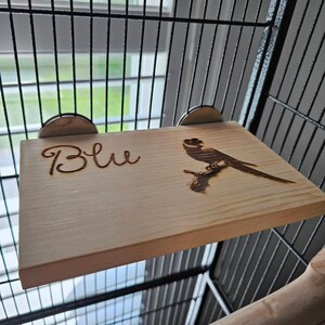 Personalizable Flat Bird Perch 12''x6'', 2 Inch Washers, 100% Bird Safe ...