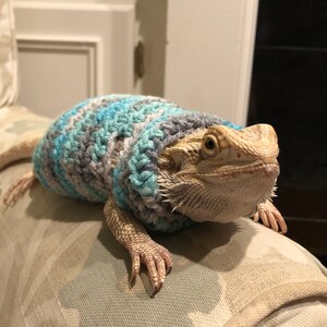 Crocheted Adult Bearded Dragon Sweater Bearded Dragon Sweater Bearded ...