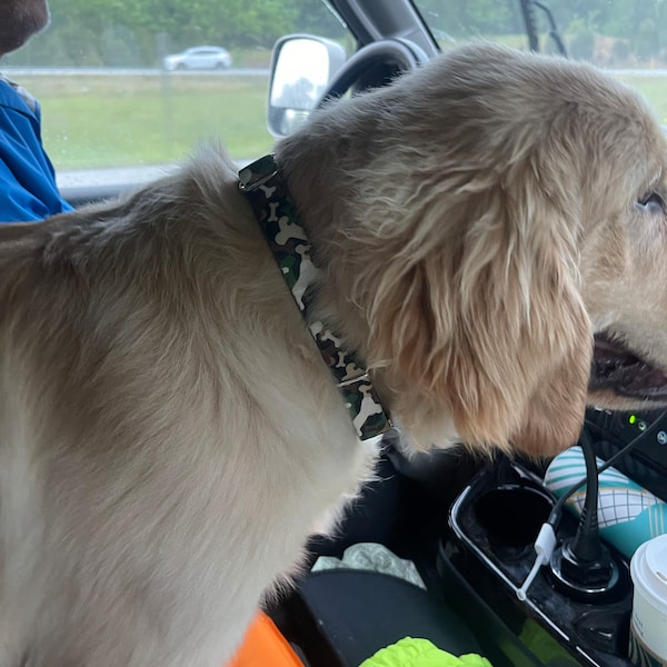 BREAKAWAY Dog Collar - Choose Any Print! Optional Personalized ID ...