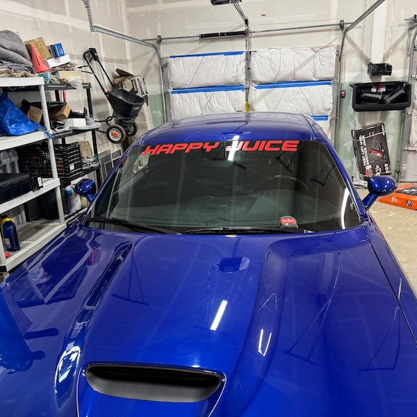 Angry Hornet Taillight Divider Blackout Decal Kit Fits Dodge Challenger ...