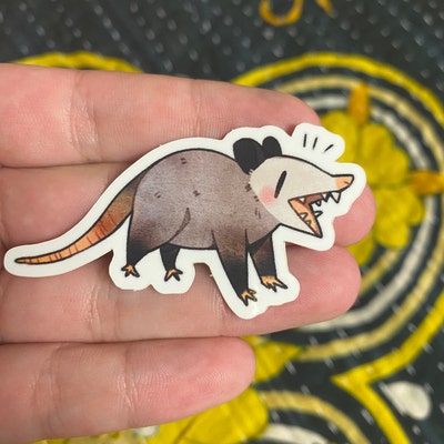 Yelling Possum Sticker - Etsy