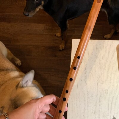 Zither Citera Hungarian Dulcimer in C Stringed Folk Instrument 15 ...