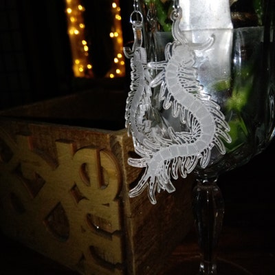 Centipede Scolopendra Centipedes Invertebrates Arthropod Chilopoda Drop ...