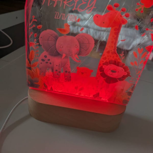 Personalised LED Animal Lamp,safari Jungle Animals Light,kids Night ...