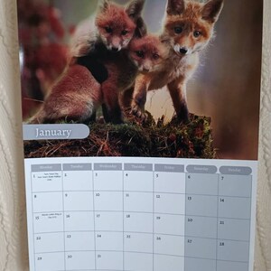 Ginger Cat Calendar 2025: Monthly Wall Calendar With Notes, Hanging A4 ...