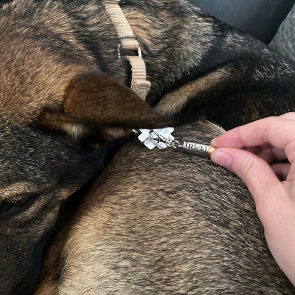 Personalized Bullet Pet Tag, Dog Name Tag, Man's Best Friend, Collar ...